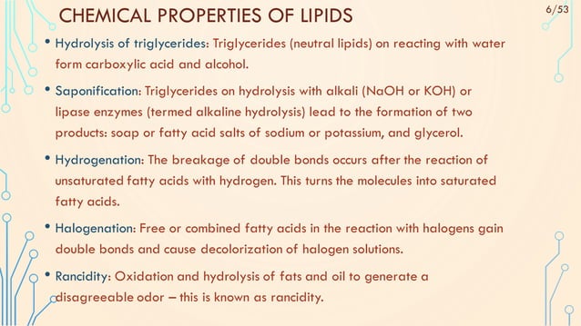 Lipids: types, structure and important functions. | PDF