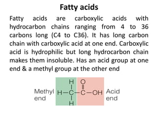 Lipids.pdfsbjamamakalmammsmsksbsbbsbsnsnsnsn | PDF