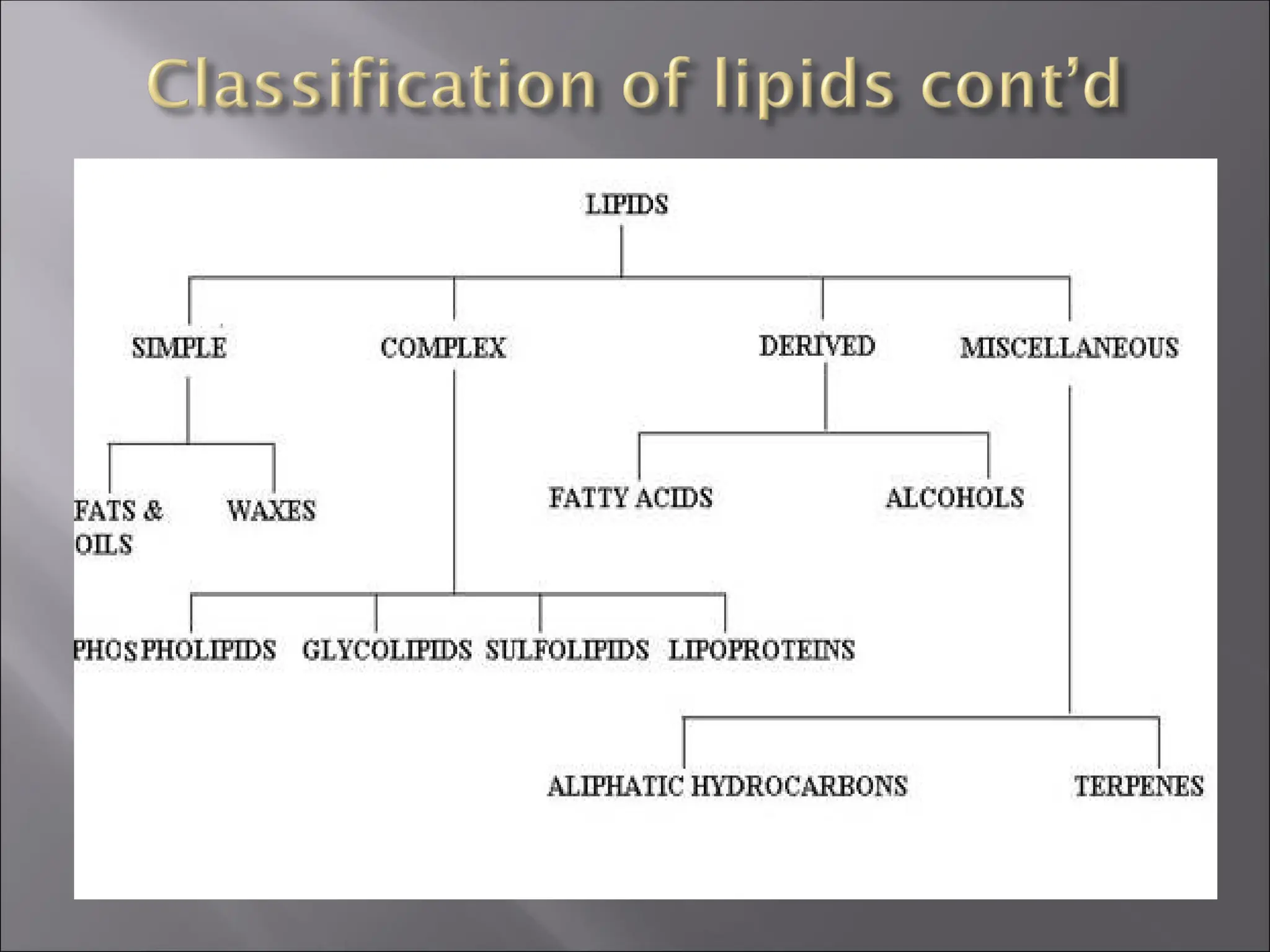 LIPIDS sources and their functional structure.ppt | Chemistry | Science