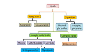 lipids, classifications, and sorces.pptx