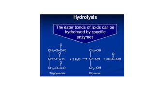 Lipids - biomolecules - biochemistry.pptx