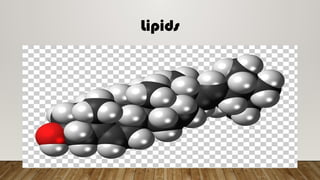 lipids.powerpoint presentation in science | PPTX