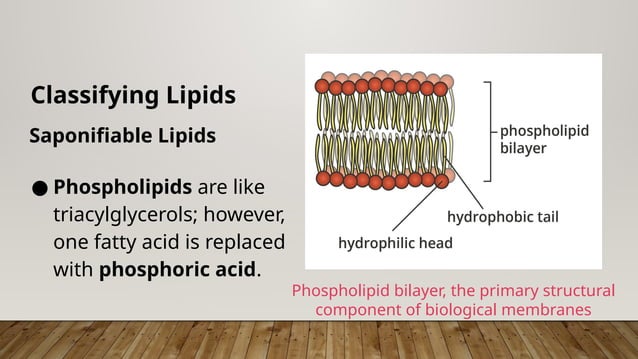 lipids.powerpoint presentation in science | PPTX | Chemistry | Science