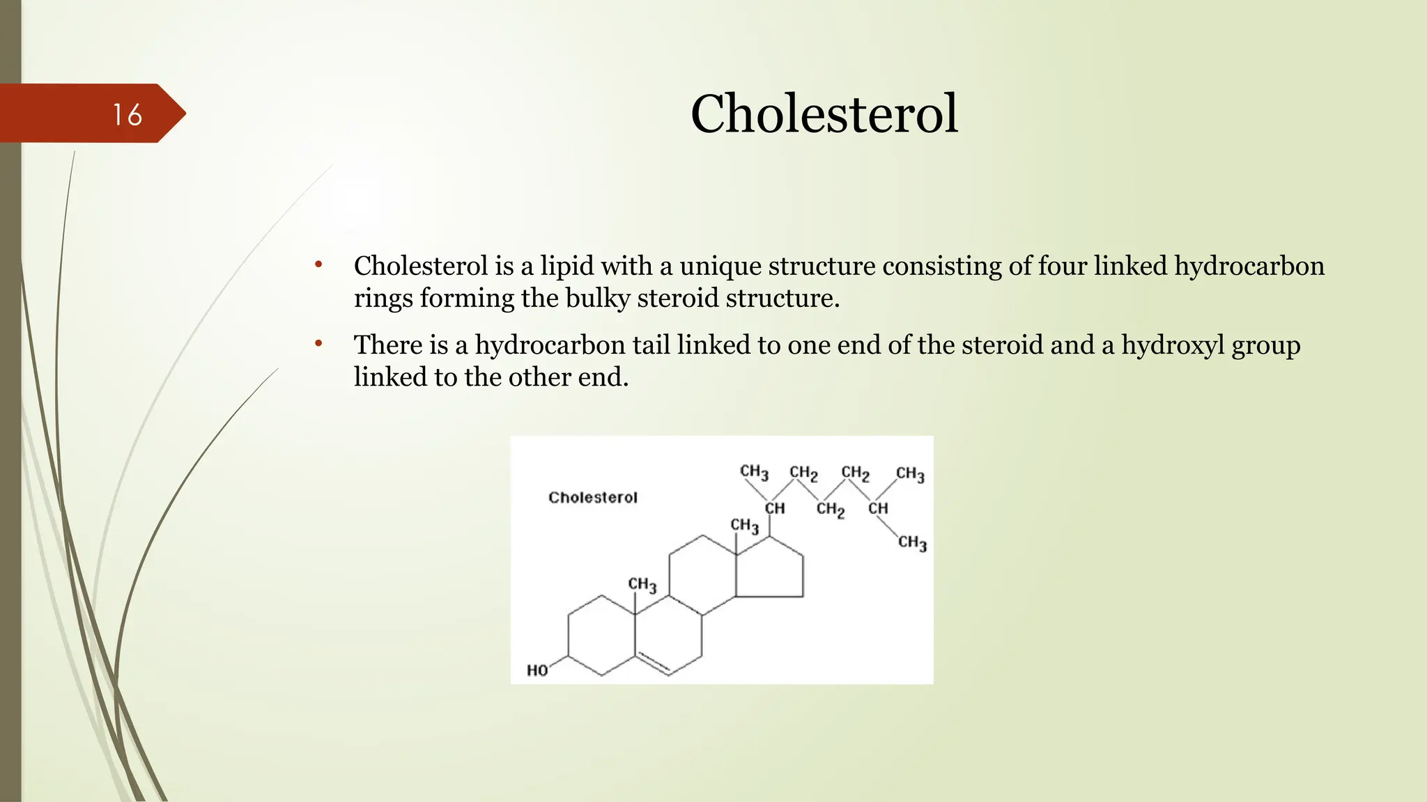 LIPIDS, TRIGLYCERIDES AND CHOLESTEROL AND TYPES OF LIPIDS | PPTX