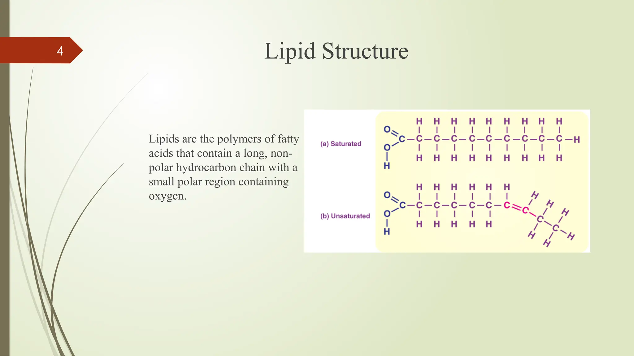 LIPIDS, TRIGLYCERIDES AND CHOLESTEROL AND TYPES OF LIPIDS | PPTX