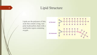 LIPIDS, TRIGLYCERIDES AND CHOLESTEROL AND TYPES OF LIPIDS | PPTX