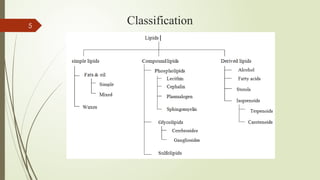 LIPIDS, TRIGLYCERIDES AND CHOLESTEROL AND TYPES OF LIPIDS | PPTX