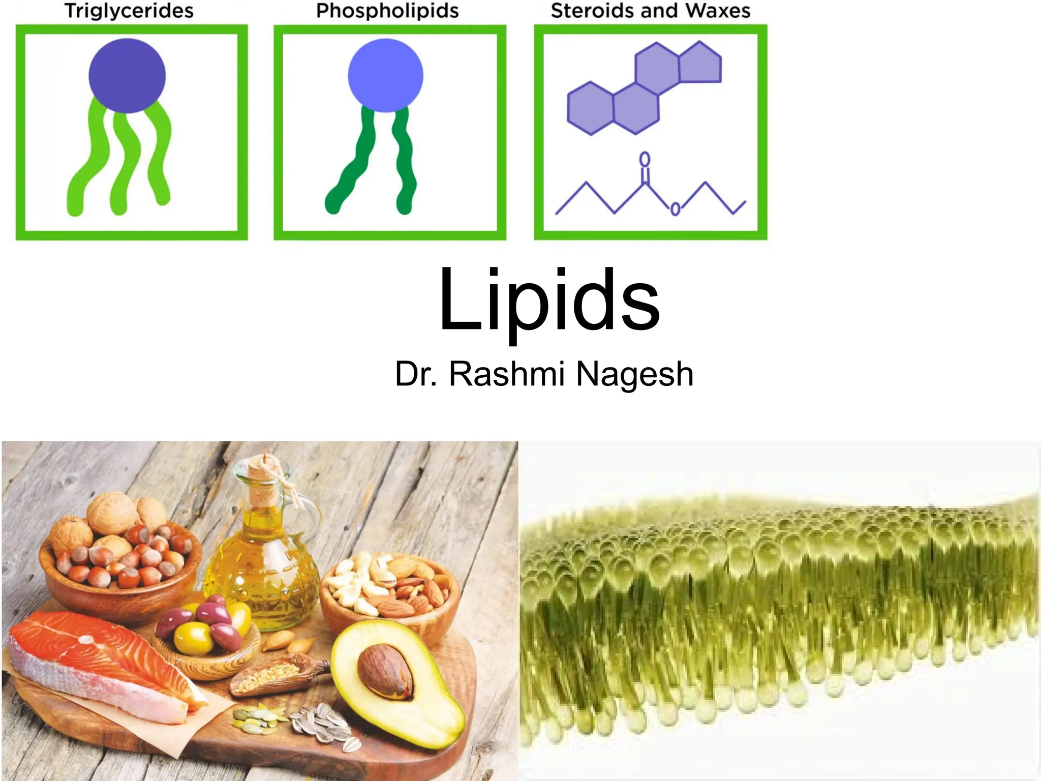 Biological Macromolecule - Lipids - Introduction | PPT
