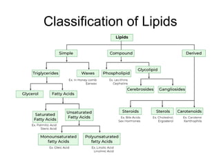 Biological Macromolecule - Lipids - Introduction | PPT
