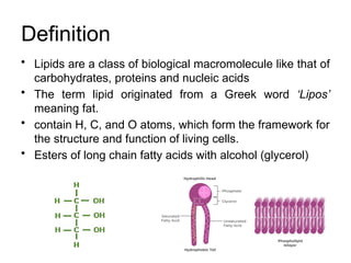 Biological Macromolecule - Lipids - Introduction | PPT