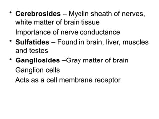 Biological Macromolecule - Lipids - Introduction | PPT