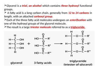 BSC Agriculture LIPIDS. Bsc Biochemistry notes | PPTX