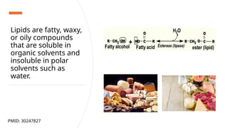 Presentation on lipid, their classification, structure and properties ...