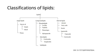 Presentation on lipid, their classification, structure and properties associated with foods | PPTX