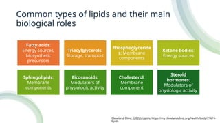 Presentation on lipid, their classification, structure and properties ...
