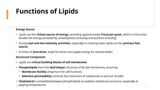 Lipids: Classification, Functions, Metabolism, and Dietary ...