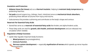 Lipids: Classification, Functions, Metabolism, and Dietary ...