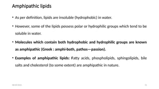 Lipids: Structure, Types, Functions & Metabolism | PPTX