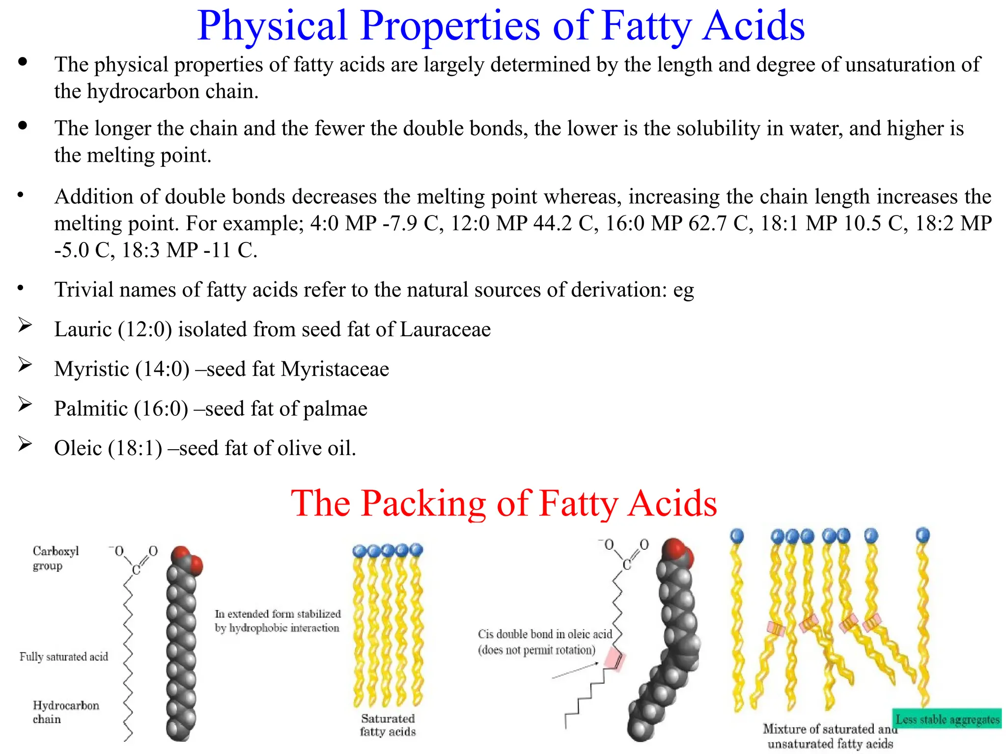 Lipids and building blocks of life in the food system | PPTX