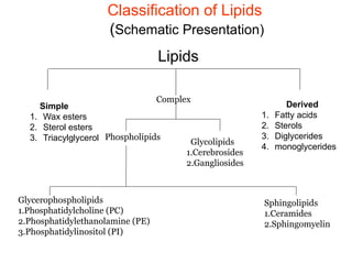 Lipids and building blocks of life in the food system | PPTX