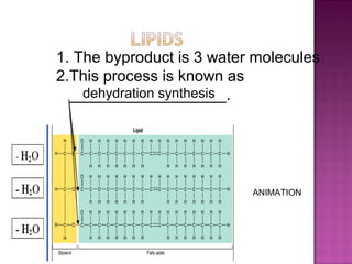 Lipids academy | PPT