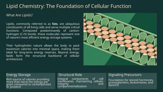 Lipids-and-Lipoproteins (2).pptx in clinical chemistry 1 | PPTX