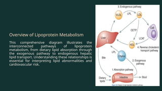 Lipids-and-Lipoproteins (2).pptx in clinical chemistry 1 | PPTX