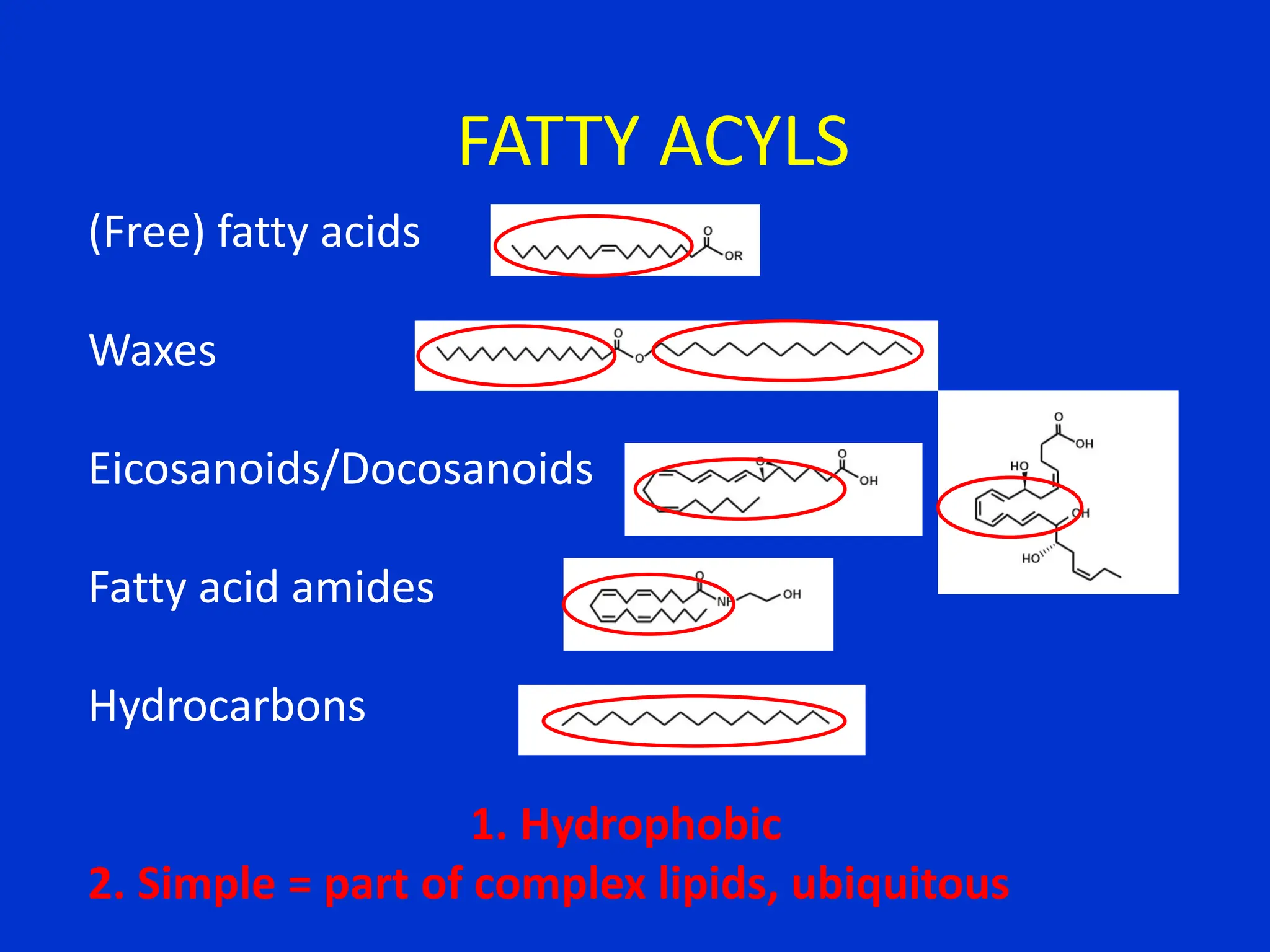 lipids-and-simple-lipids.pdf mbbs 1 st year | PDF
