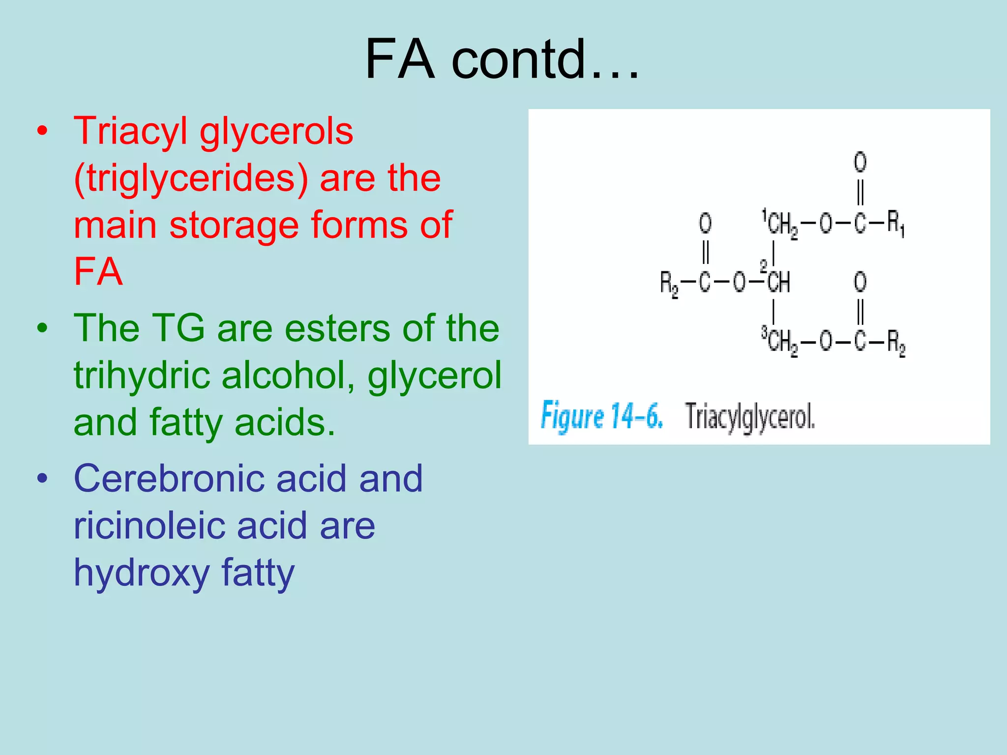 Lipids Chemistry Structure & Function (More Detailed) | PPT