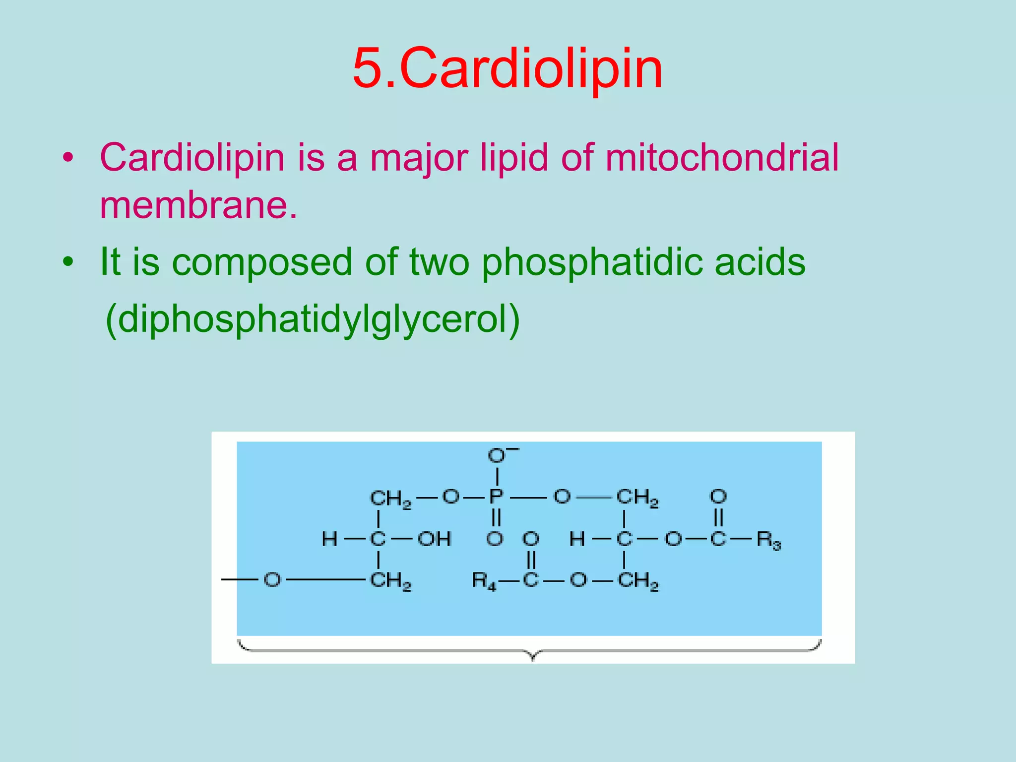 Lipids Chemistry Structure & Function (More Detailed) | PPT