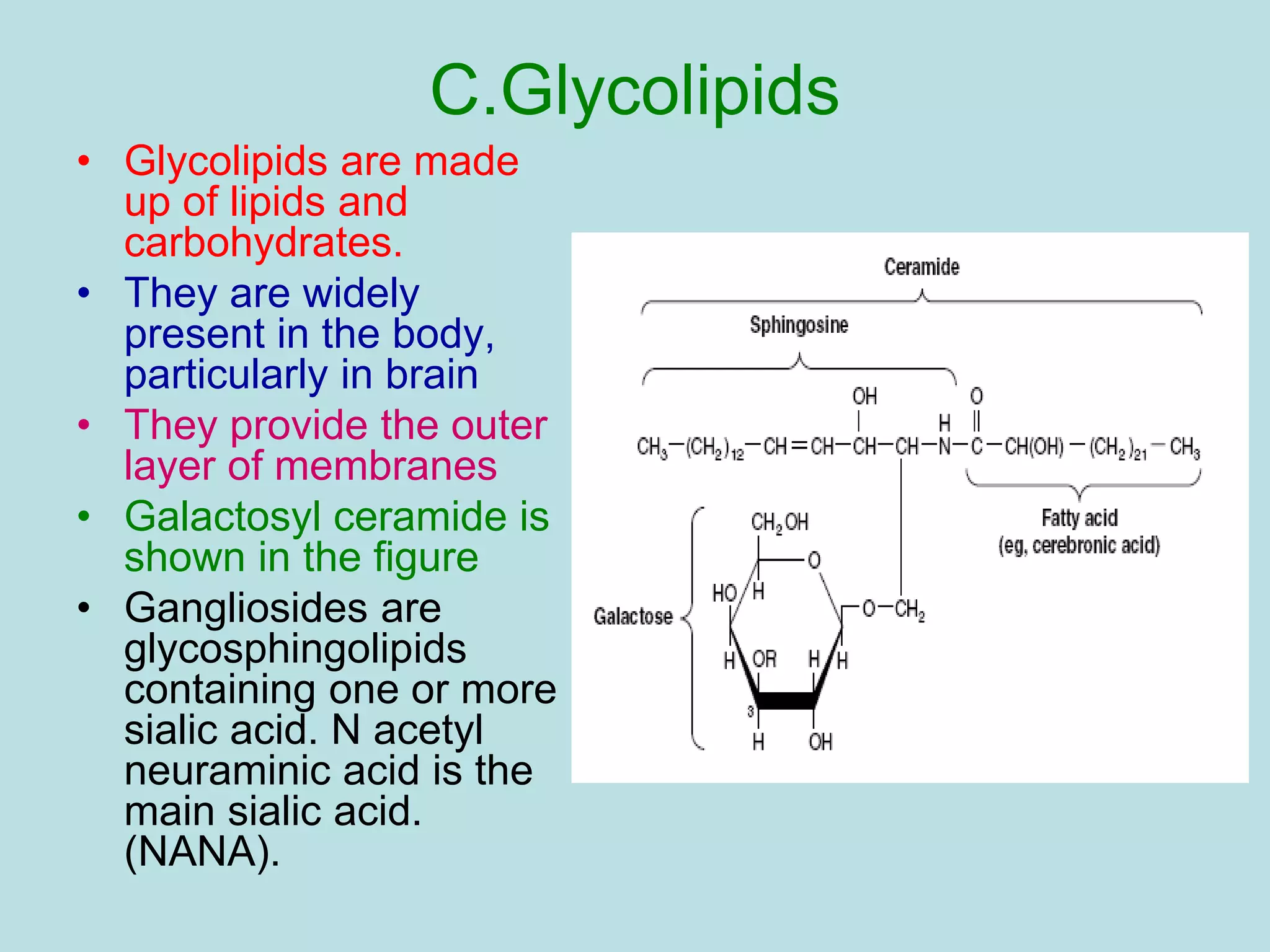 Lipids Chemistry Structure & Function (More Detailed) | PPT