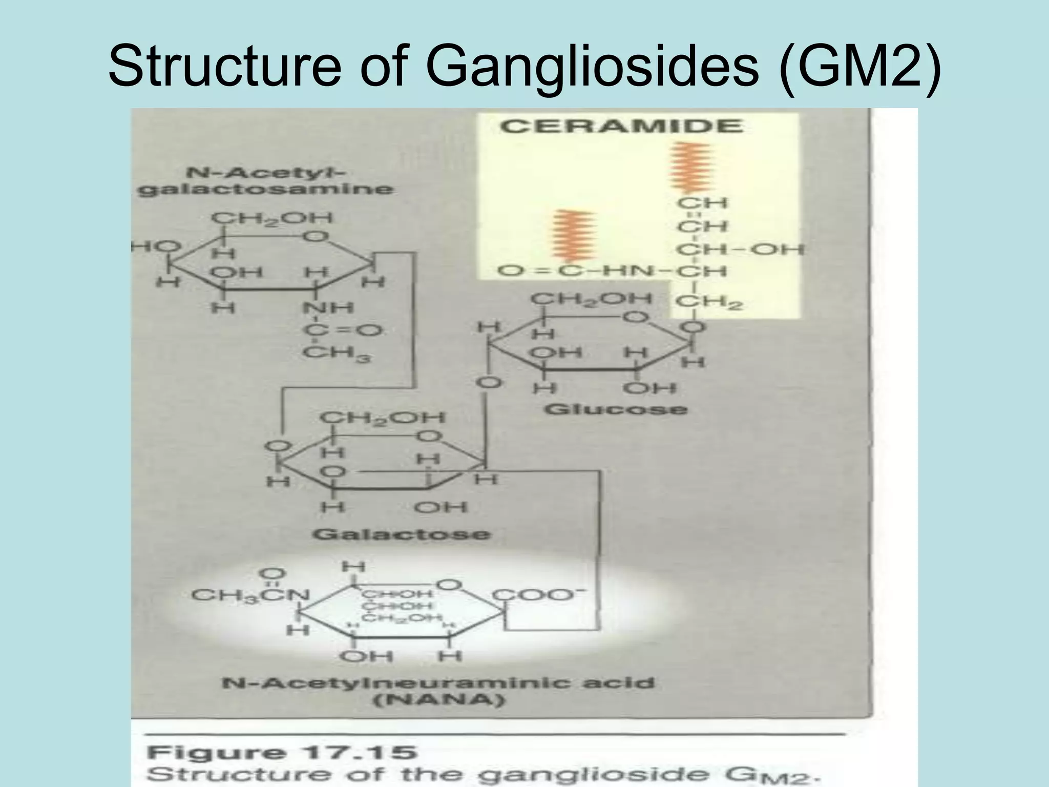 Lipids Chemistry Structure & Function (More Detailed) | PPT