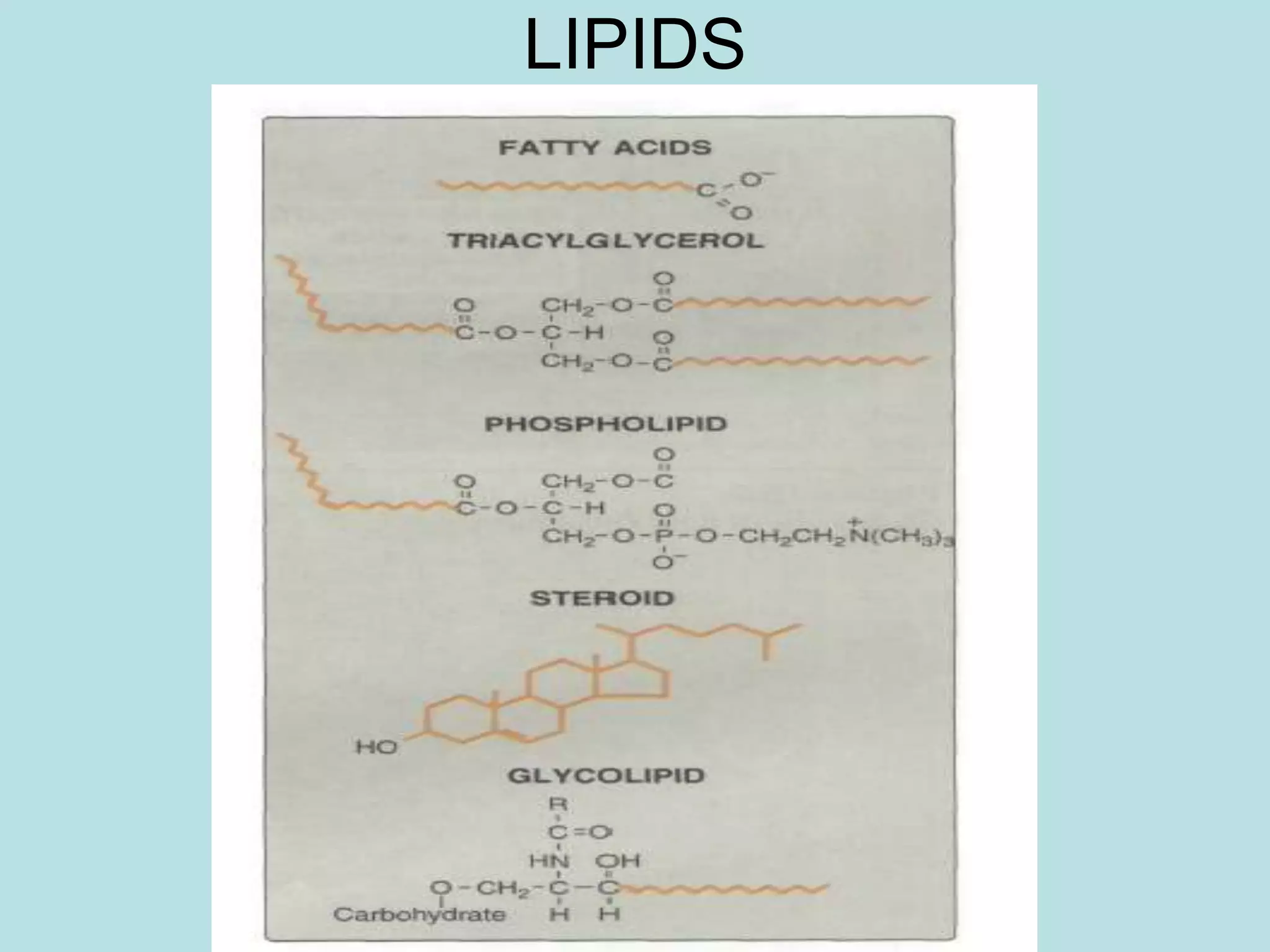 Lipids Chemistry Structure & Function (More Detailed) | PPT