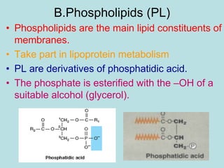 Lipids Chemistry Structure & Function (More Detailed) | PPT