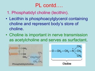 Lipids Chemistry Structure & Function (More Detailed) | PPT
