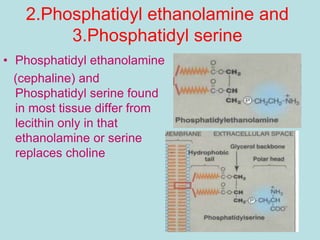Lipids Chemistry Structure & Function (More Detailed) | PPT
