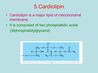 Lipids Chemistry Structure & Function (More Detailed) | PPT