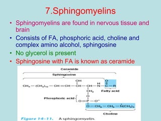 Lipids Chemistry Structure & Function (More Detailed) | PPT