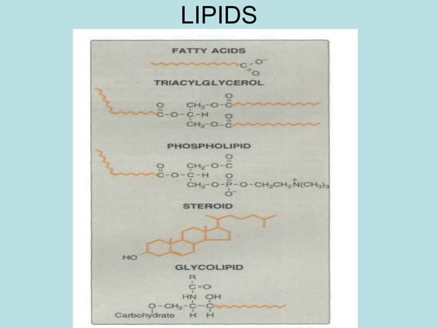 Lipids Chemistry Structure & Function (More Detailed) | PPT | Chemistry ...