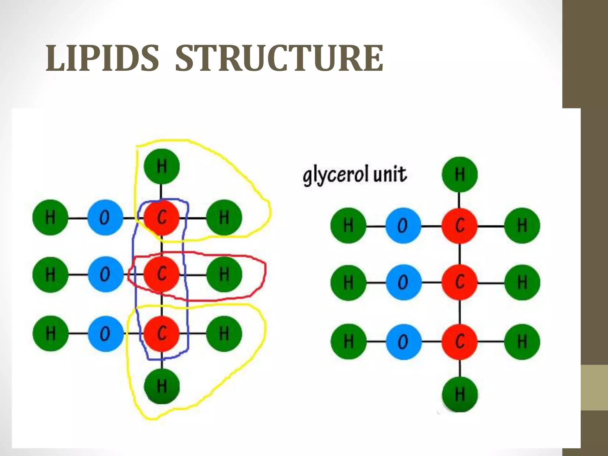 Lipids :Types, Structure, Omega-3 & 6 fatty acid importance of lipids ...