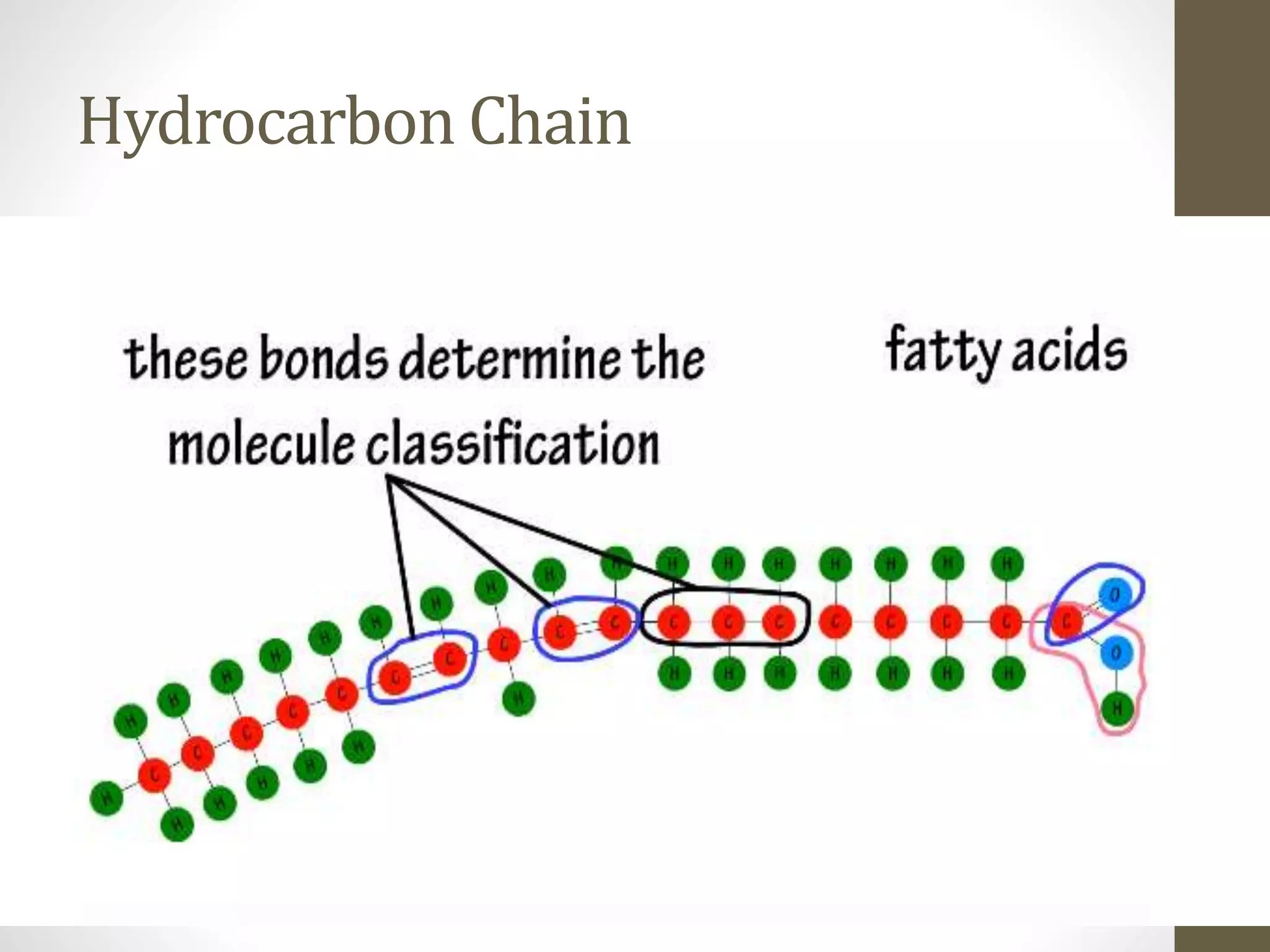 Lipids :Types, Structure, Omega-3 & 6 fatty acid importance of lipids ...