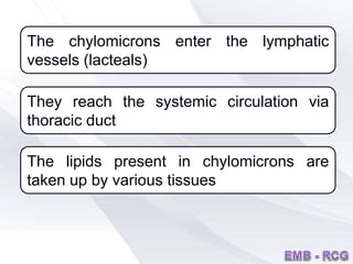 Lipids digestion and absorption | PPTX