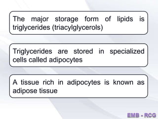 Lipids digestion and absorption | PPTX