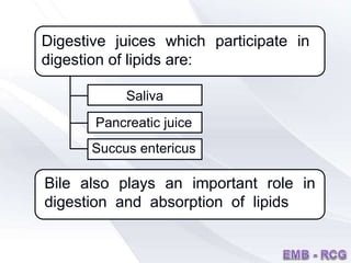 Lipids digestion and absorption | PPTX