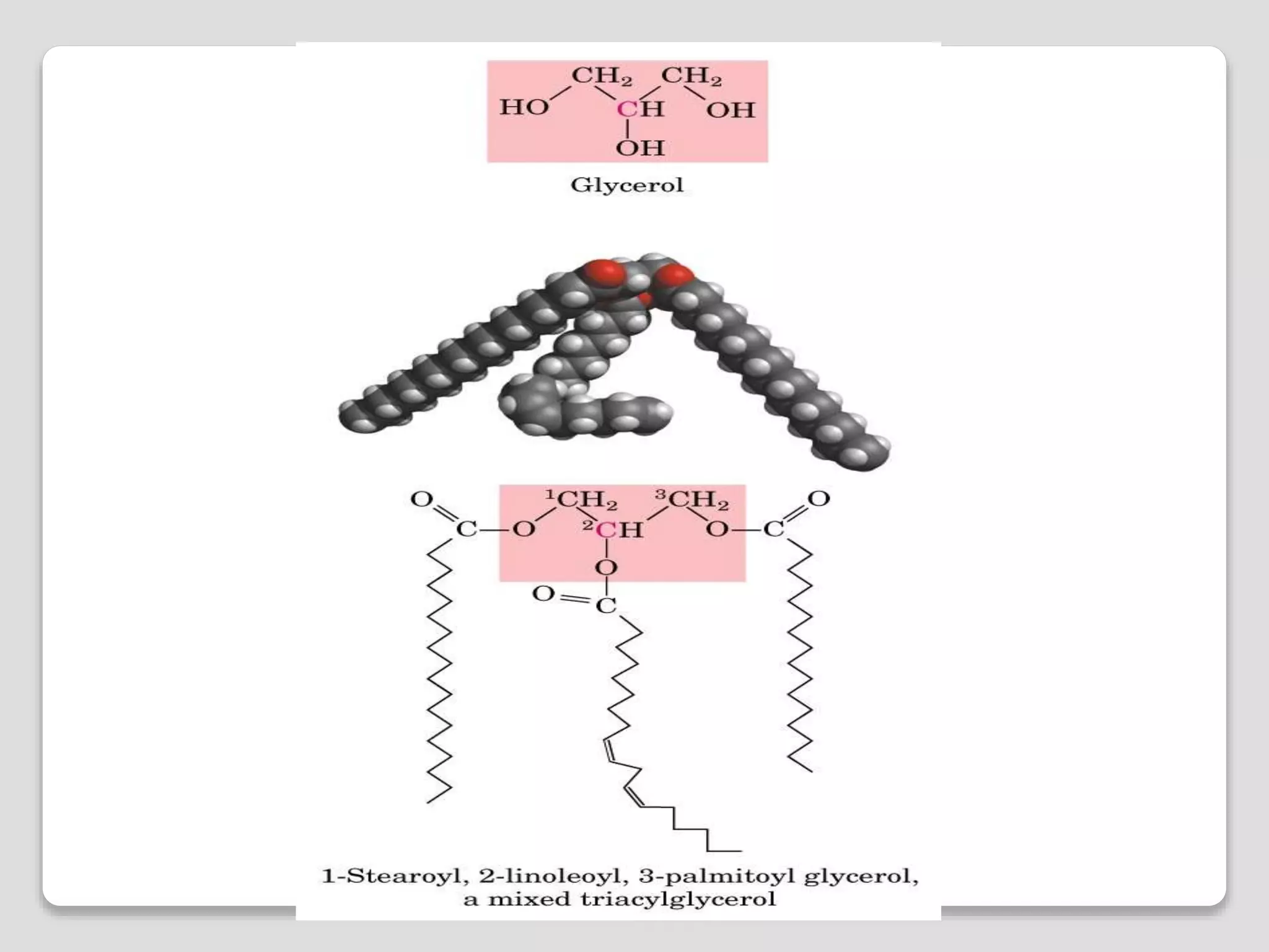 Lipids introduction. | PPTX