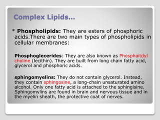 Lipids introduction. | PPTX