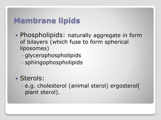 Lipids introduction. | PPTX