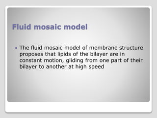 Lipids introduction. | PPTX