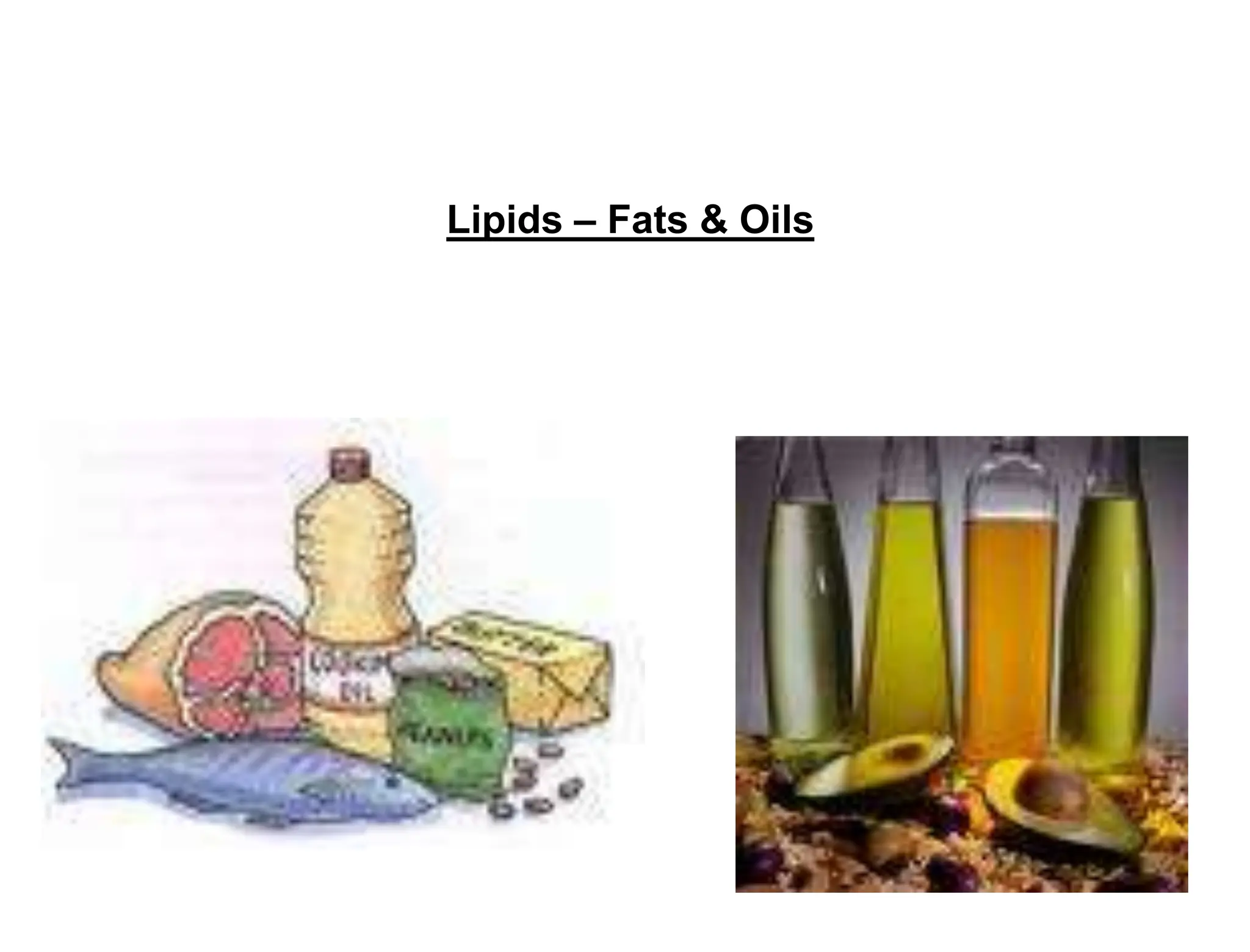 Lipids-Part-I.ppt