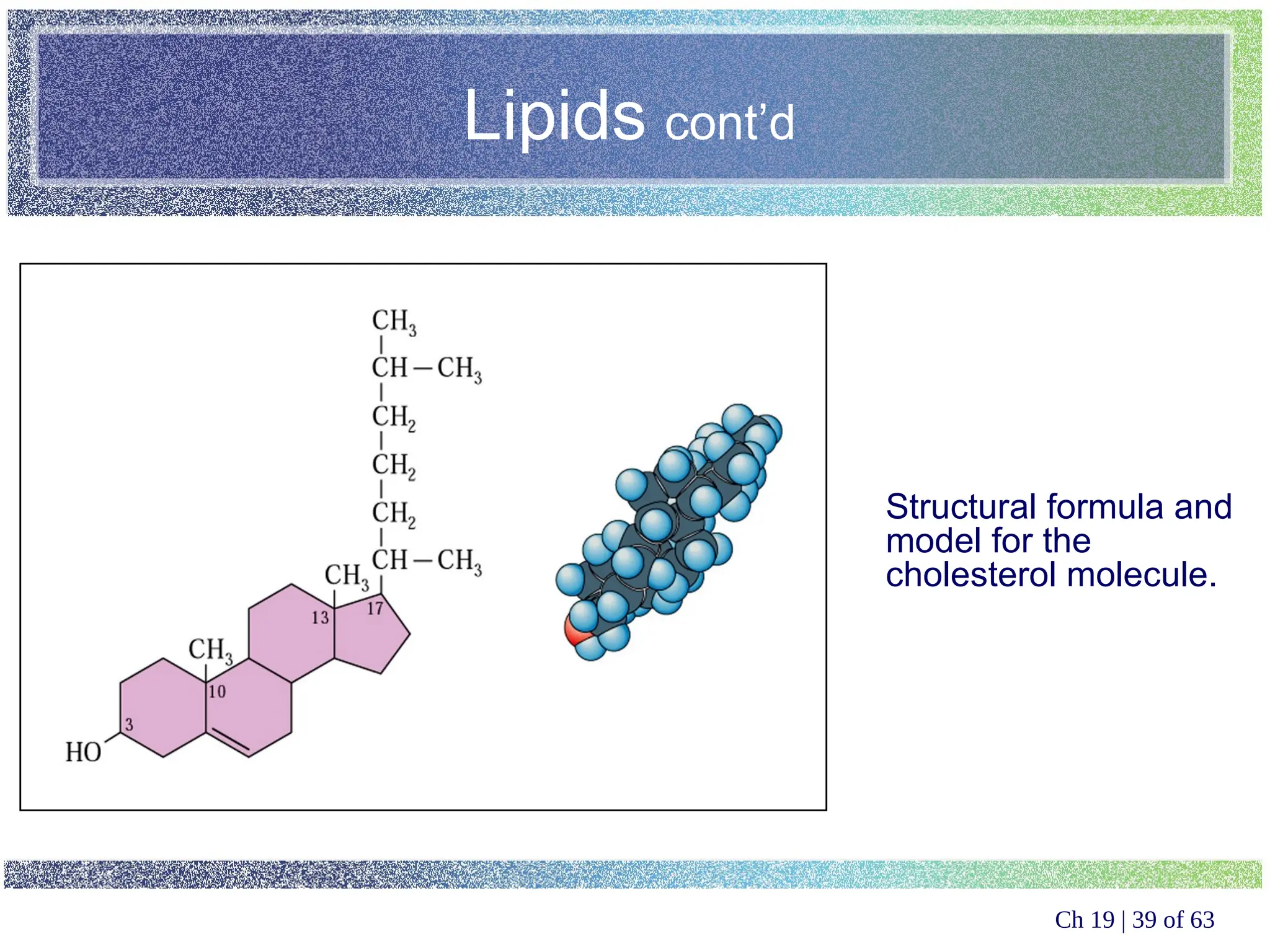 LIPIDS - Powerpoint (RECENT 2)Lipids and lipoproteins. Includes the ...